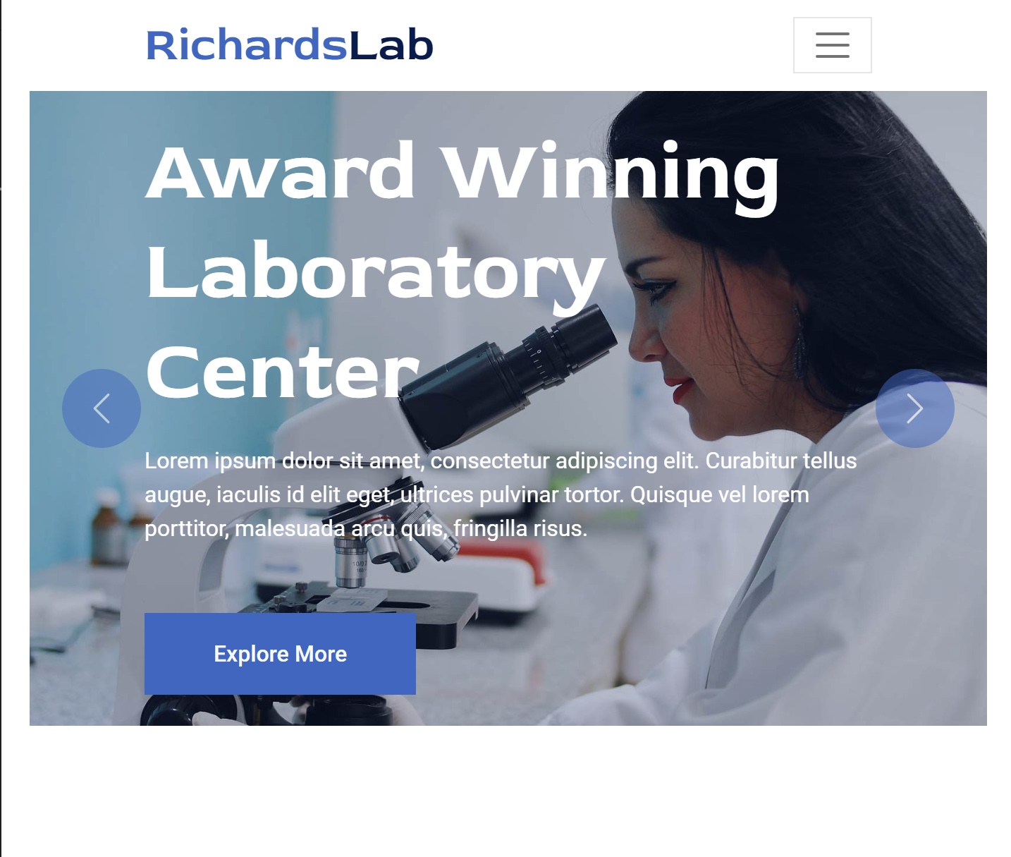 Bridget Pro website - Blog Post